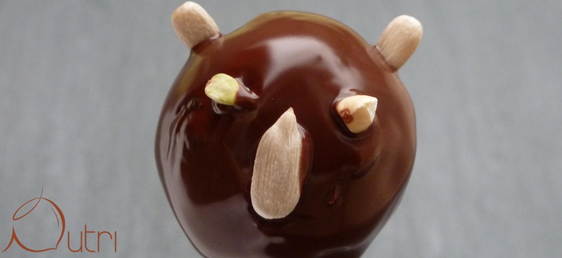 No bake Cake Pops - Cake Pops mal anders - nutripassion.denutripassion.de