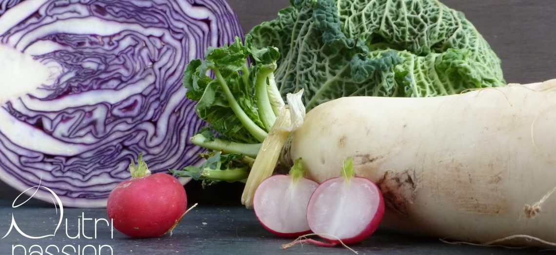 Warum Kohl traumhaft ist - nutripassion.de